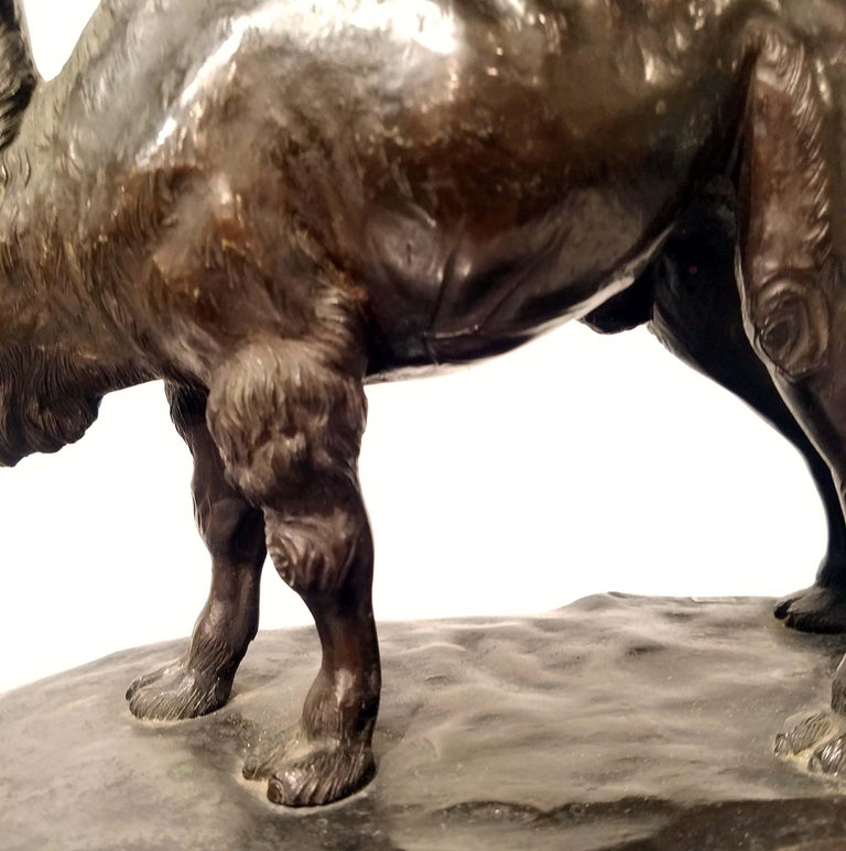 Bronze Model of a Camel, Signed Watanabe, Japan, 19th Century For Sale ...