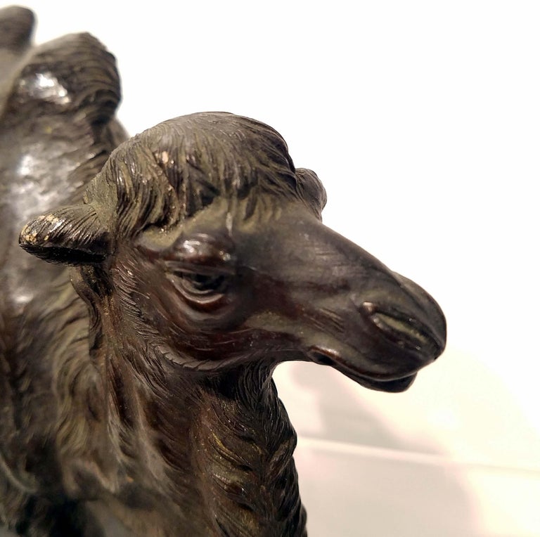 Bronze Model of a Camel, Signed Watanabe, Japan, 19th Century For Sale ...