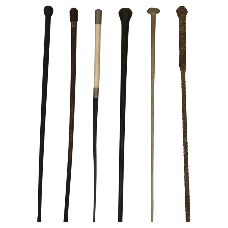 Collection of Six Rare Riding Crops and Swagger Sticks, Including ...