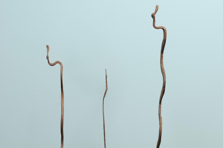 Collection of Three Lobi Snake Currencies on Stand For Sale at 1stDibs