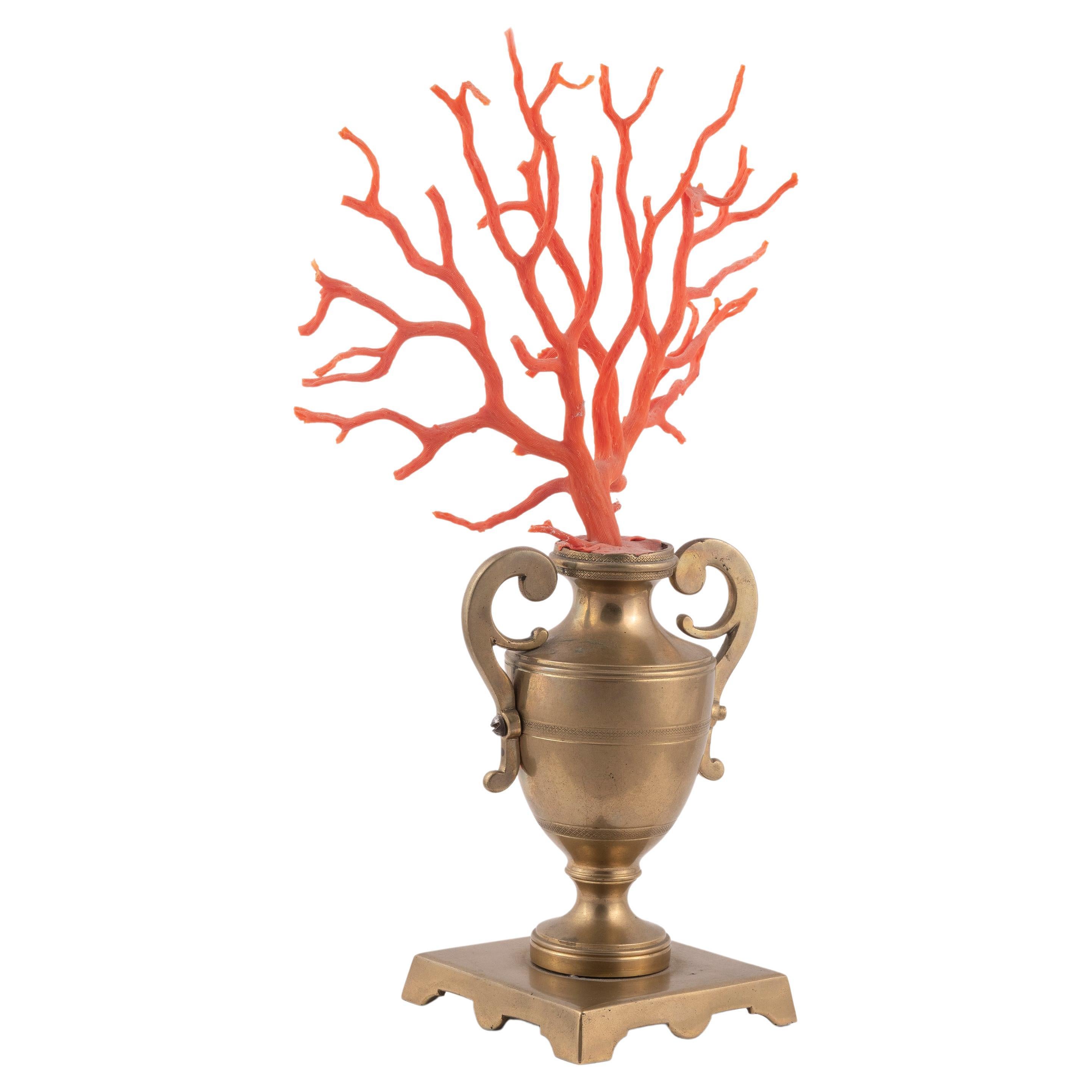 Coral Branch from Wunderkammer Sicily Italy 1820 at 1stDibs