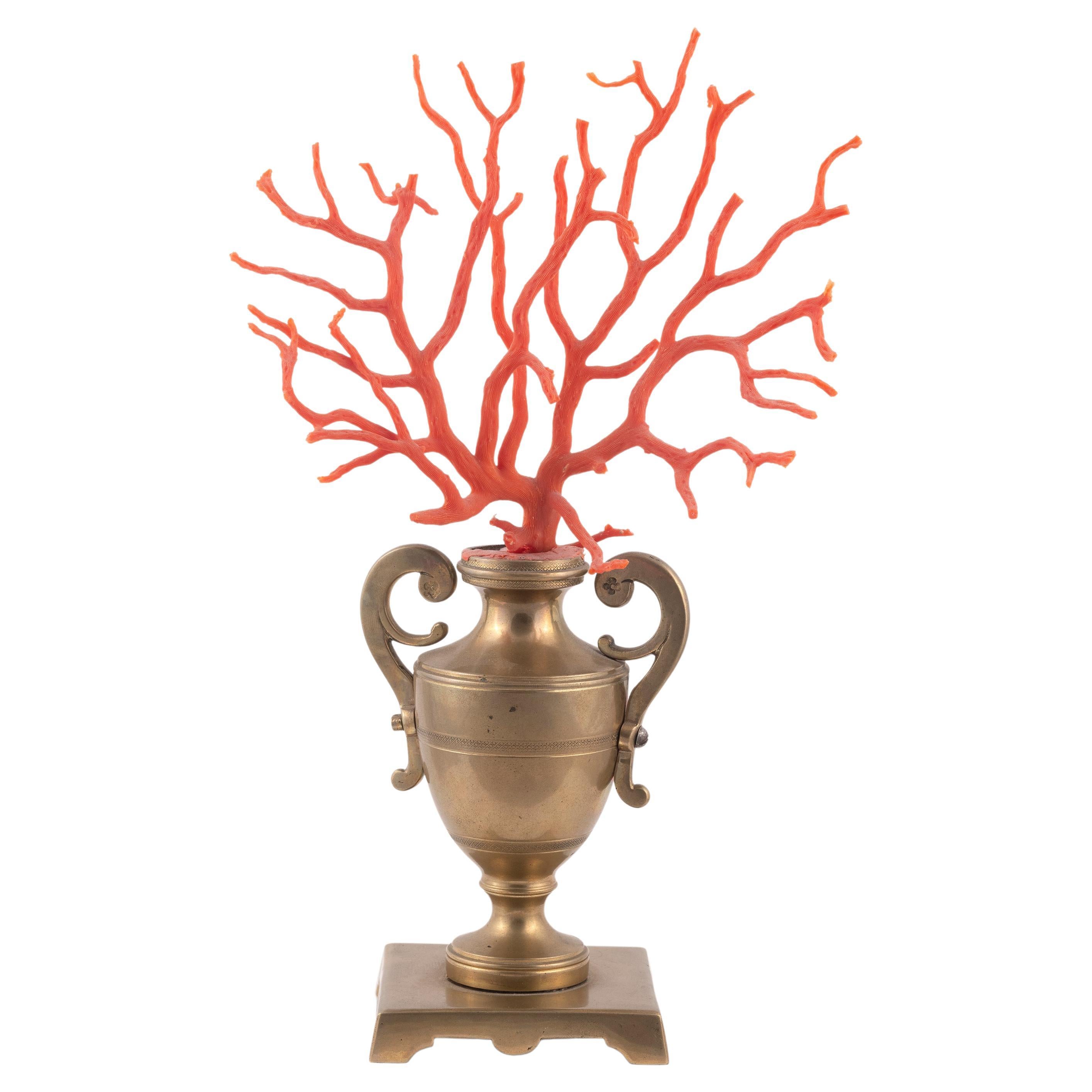Coral Branch from Wunderkammer Sicily Italy 1820 at 1stDibs