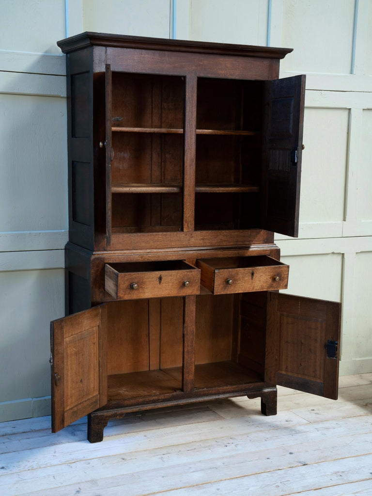 Early 19th Century Anglesey “Cwpwrdd Bara Caws” at 1stDibs