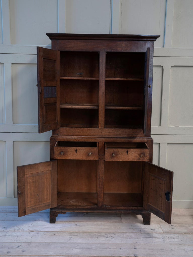Early 19th Century Anglesey “Cwpwrdd Bara Caws” at 1stDibs