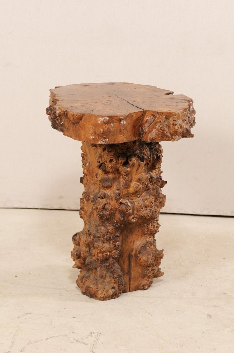 European Live-Edge Burl Side Table with Slab Top and Knobby Texture ...