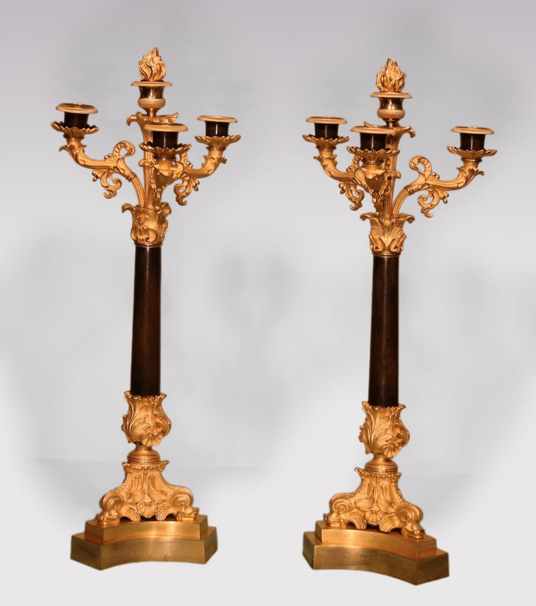 A fine pair of 19th century bronze and ormolu 4 light candelabra For ...