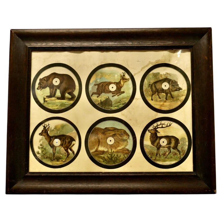 Framed Set of Black Forest Hunting/Shooting Targets This Is a Charming ...
