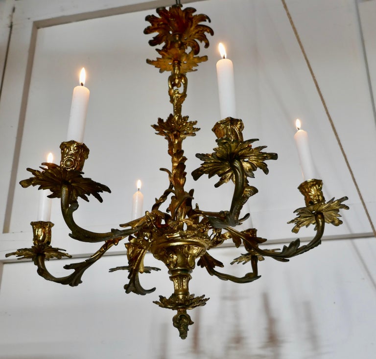French Gilded Brass 6 Branch Rococo Chandelier 'Candelier' at 1stDibs