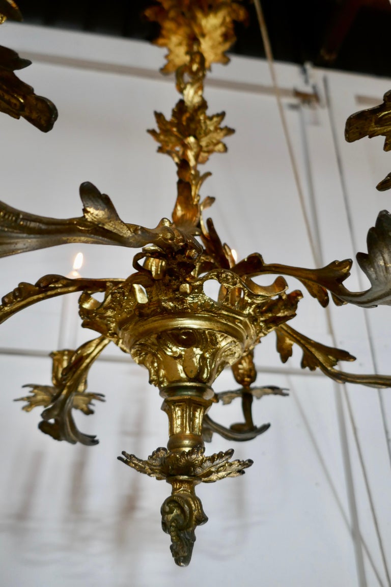 French Gilded Brass 6 Branch Rococo Chandelier 'Candelier' at 1stDibs