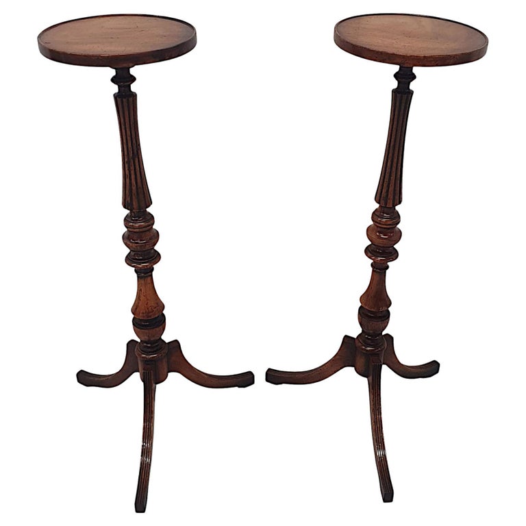 Gorgeous Pair of 20th Century Plant Stands For Sale at 1stDibs