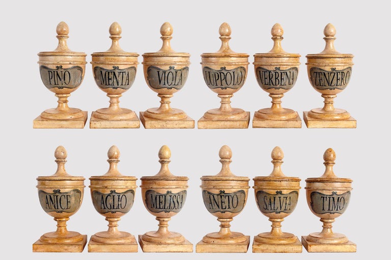 Group of 9 Herbalist Pharmacy Wooden Jars, Italy 1870 For Sale at 1stDibs
