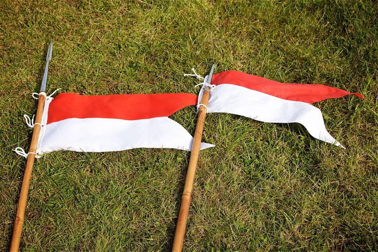 Group of 8 Lances, Mid-20th Century, Some with Penants For Sale at 1stdibs