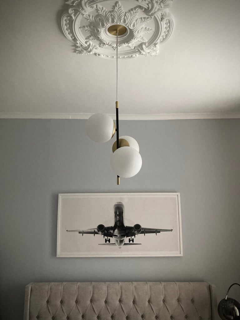 Hermitage, 4 Foot Wide Large Format Aviation Photograph For Sale at 1stDibs