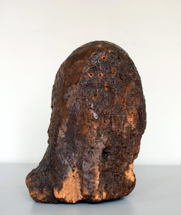 High Gothic French Iberian Wooden Bust of Saint John the Baptist For ...