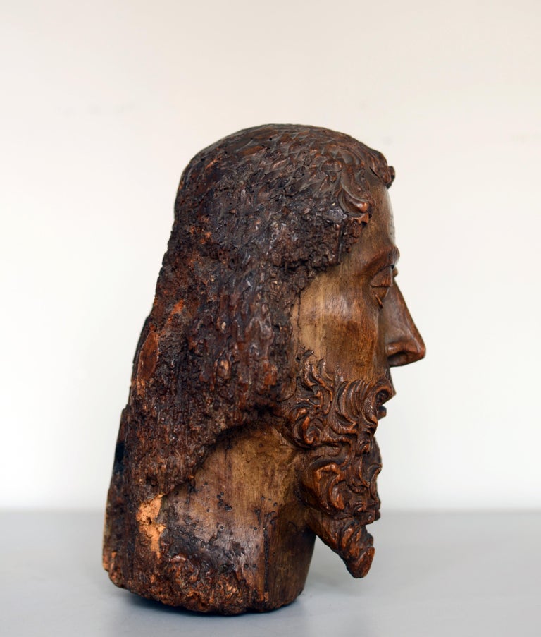 High Gothic French Iberian Wooden Bust of Saint John the Baptist For ...