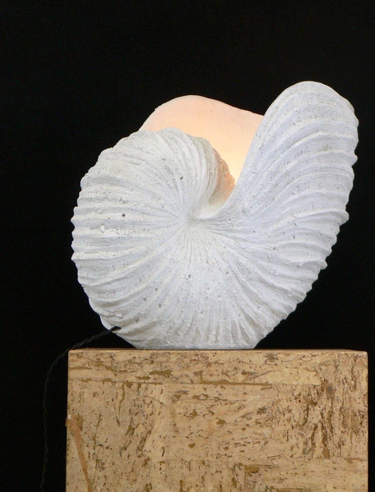 a huge fiberglass luminous seashell France 1970s For Sale at 1stDibs