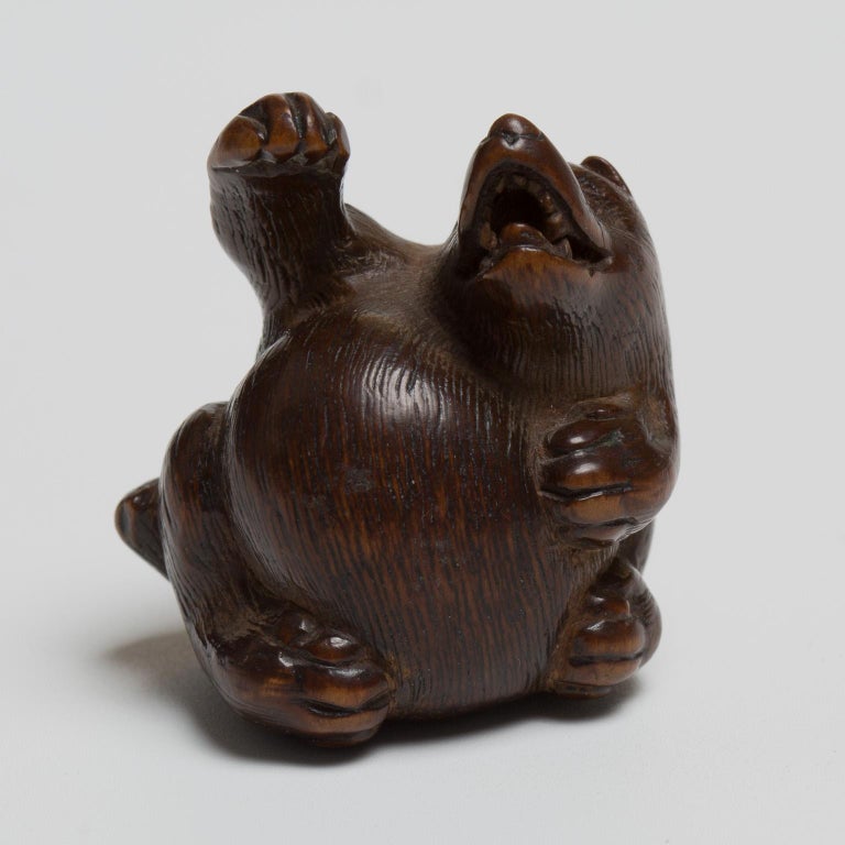 Japanese Wooden Netsuke of a Tanuki 'Raccoon Dog' by Kokei, Early 19th ...