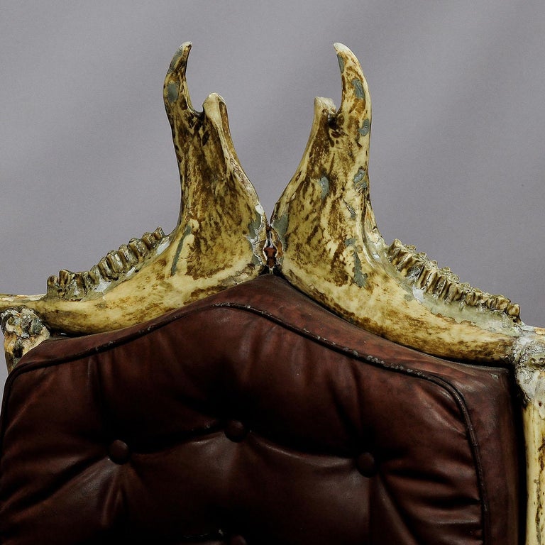 Large Wacky Bull Bone Throne Chair, circa 1930 For Sale at 1stDibs