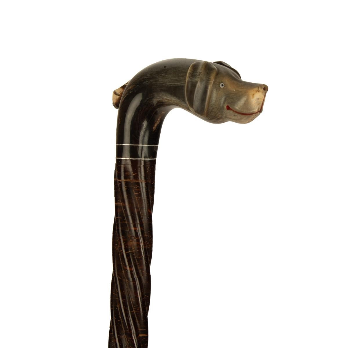 A late Victorian cane with a smiling dog’s head top at 1stDibs