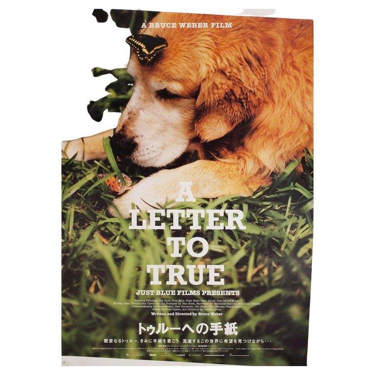 A Letter to True 2004 Japanese B2 Film Poster For Sale at 1stDibs