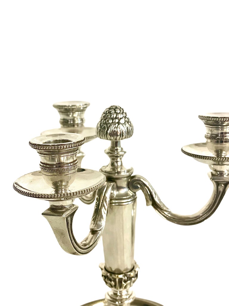 Pair of Silver Plated Chrysalia 3 light Candelabras For Sale at 1stDibs