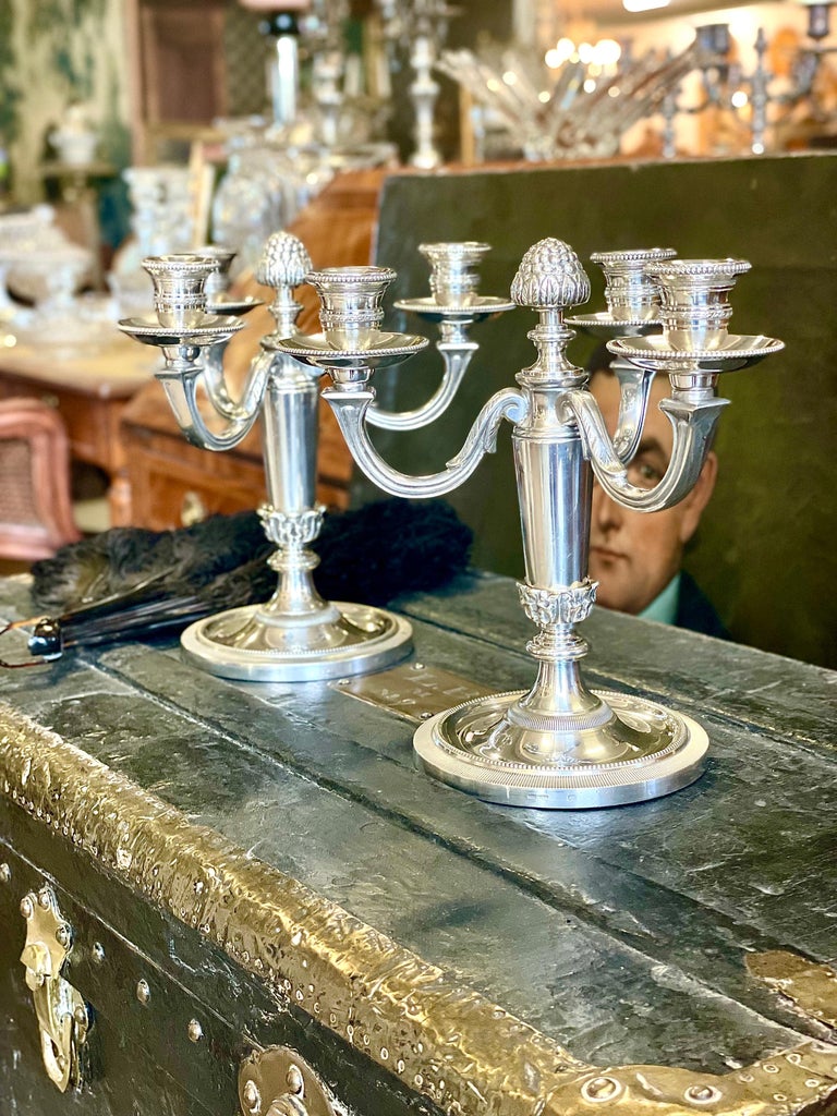 Pair of Silver Plated Chrysalia 3 light Candelabras For Sale at 1stDibs