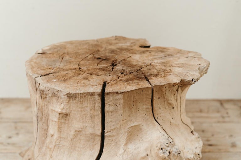 a massive root chestnut treetrunk For Sale at 1stDibs