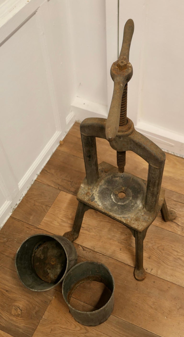 Maw and Sons 19th Century Cast Iron Tincture Press For Sale at 1stDibs