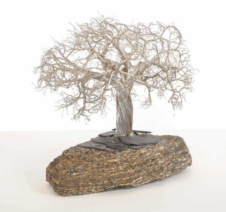 Modern Italian Silver Realistic Bonsai Tree Mounted on a Lava Rock at ...