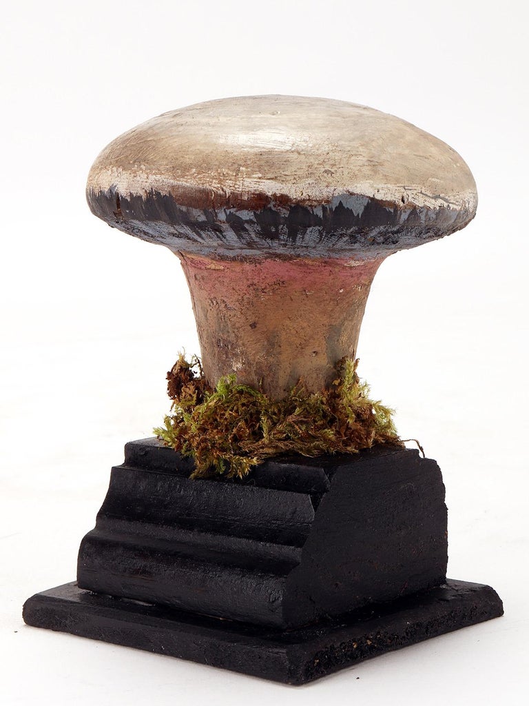 Mushroom Model, Italy, 1900 at 1stDibs