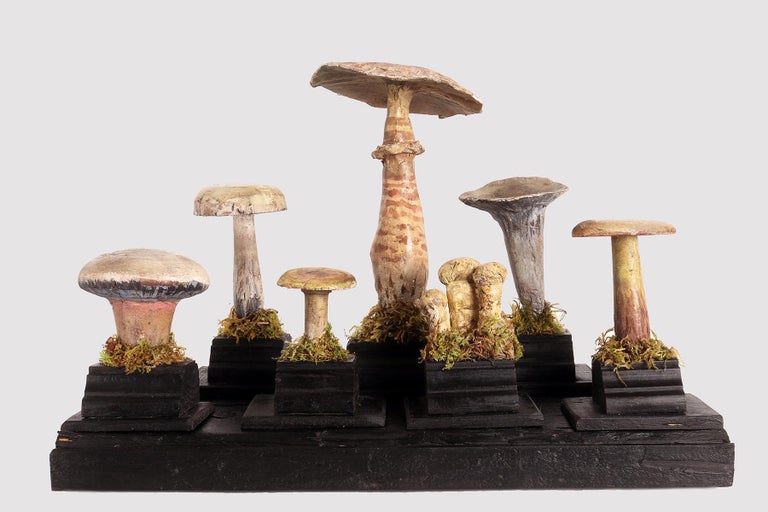 Mushroom Model, Italy, 1900 For Sale at 1stDibs