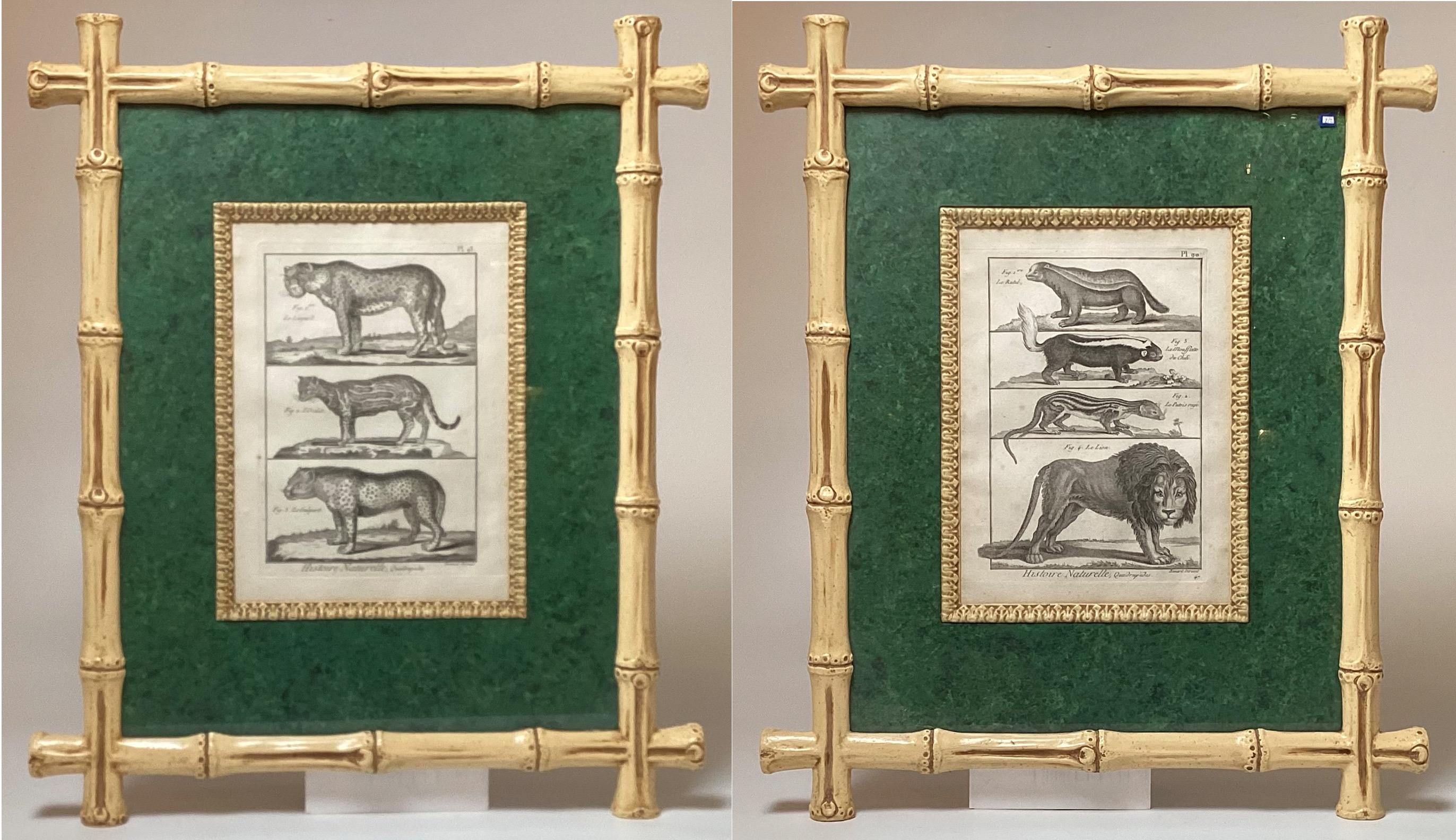 Pair of 18th Century French Engravings in Faux Bamboo Frames For Sale ...