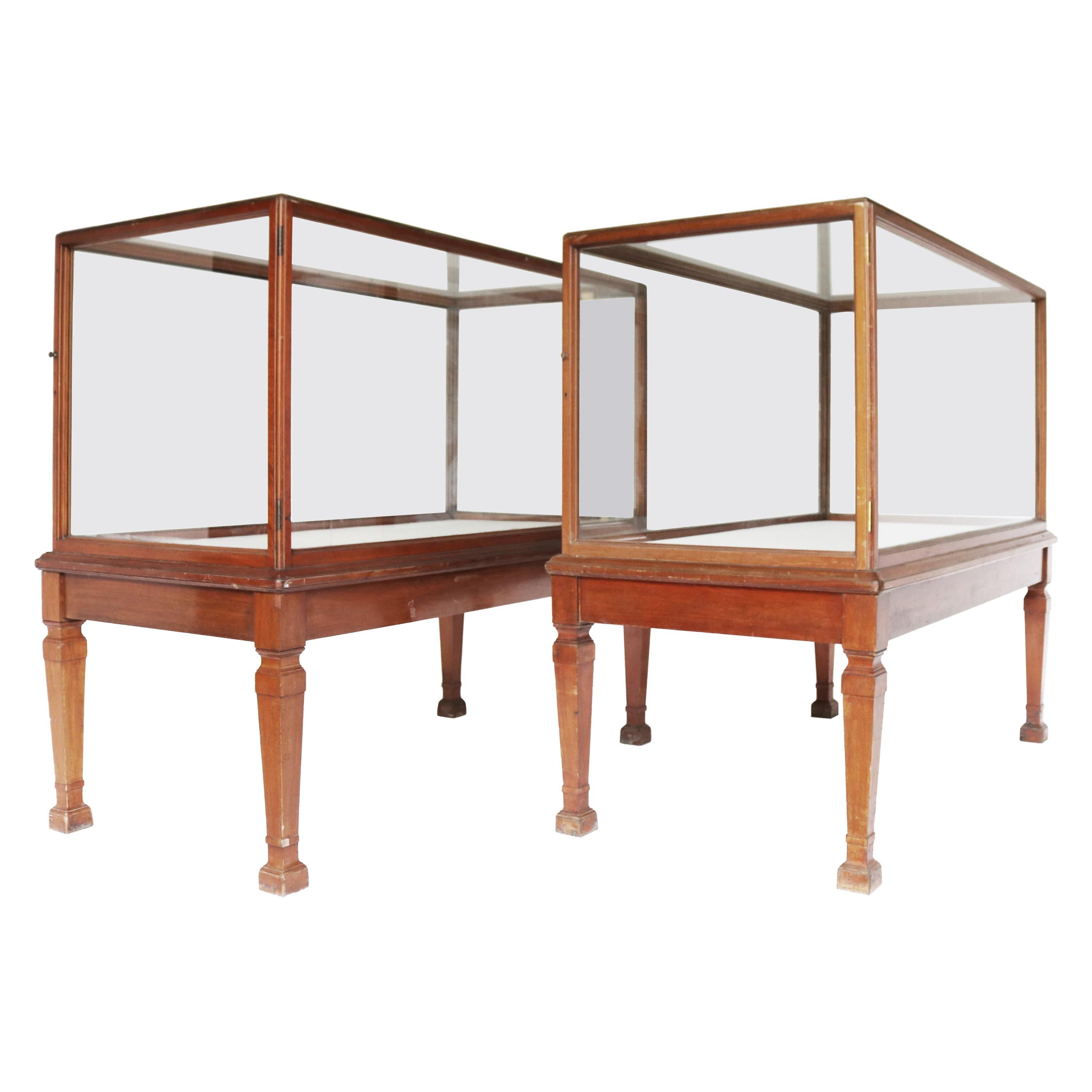 A pair of specimen Museum Cabinets at 1stDibs