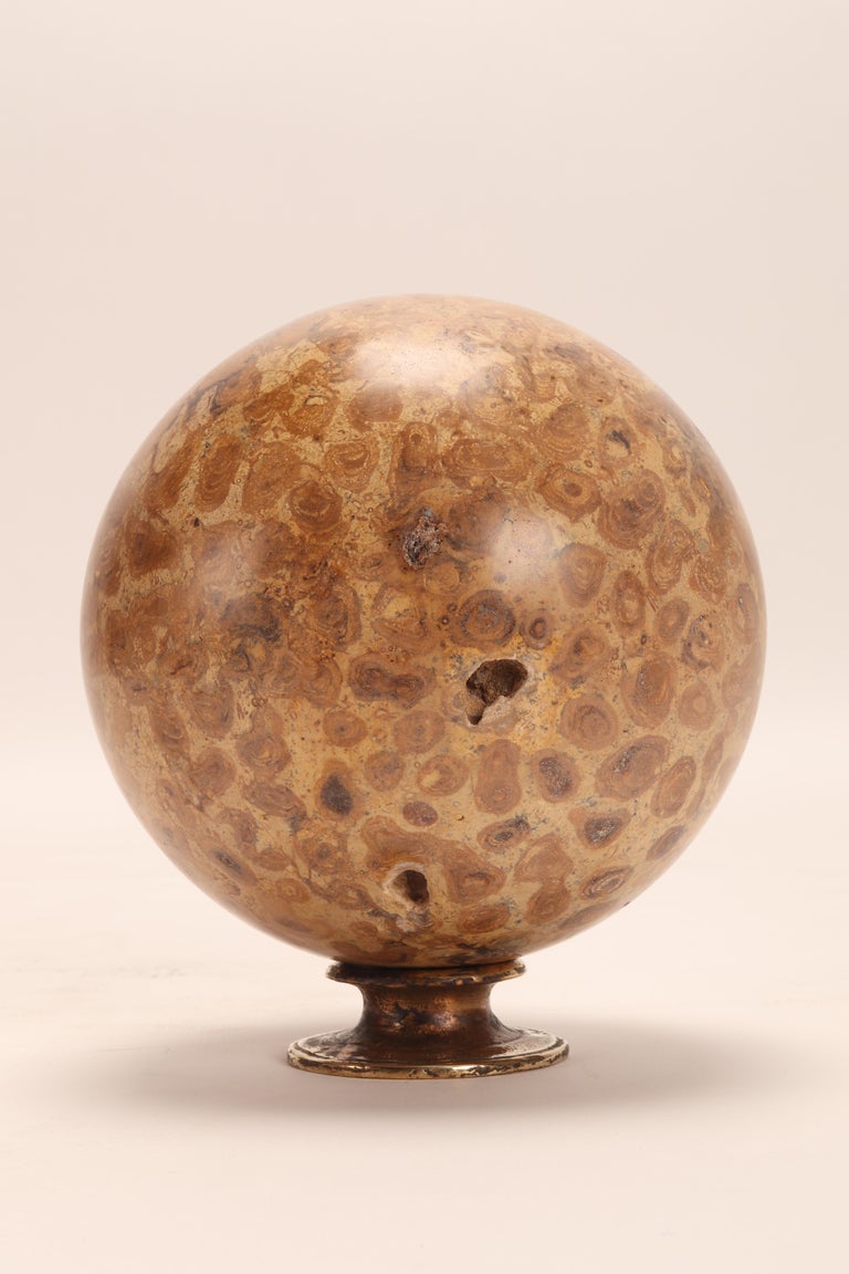 Pair of Big Fossil Coral Stone Spheres, Italy, 1870 For Sale at 1stDibs