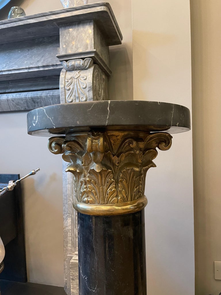 Pair of Black Fossil Marble and Bronze Columns at 1stDibs