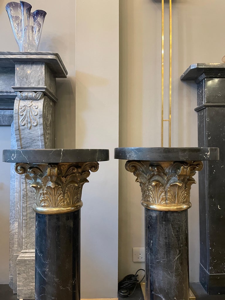 Pair of Black Fossil Marble and Bronze Columns at 1stDibs