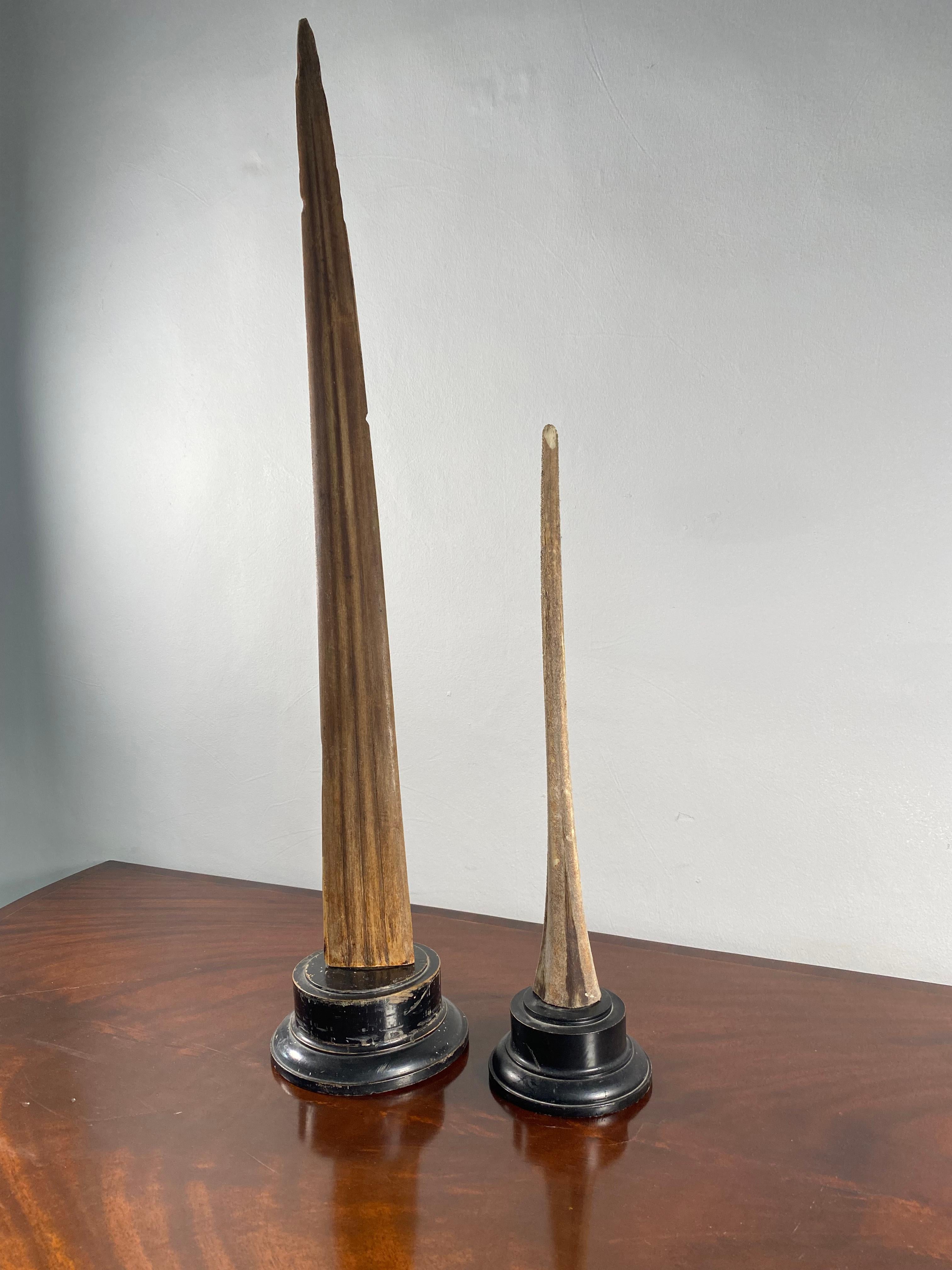 Pair of Early Trophy Marlin Bills For Sale at 1stDibs | marlin bill for ...