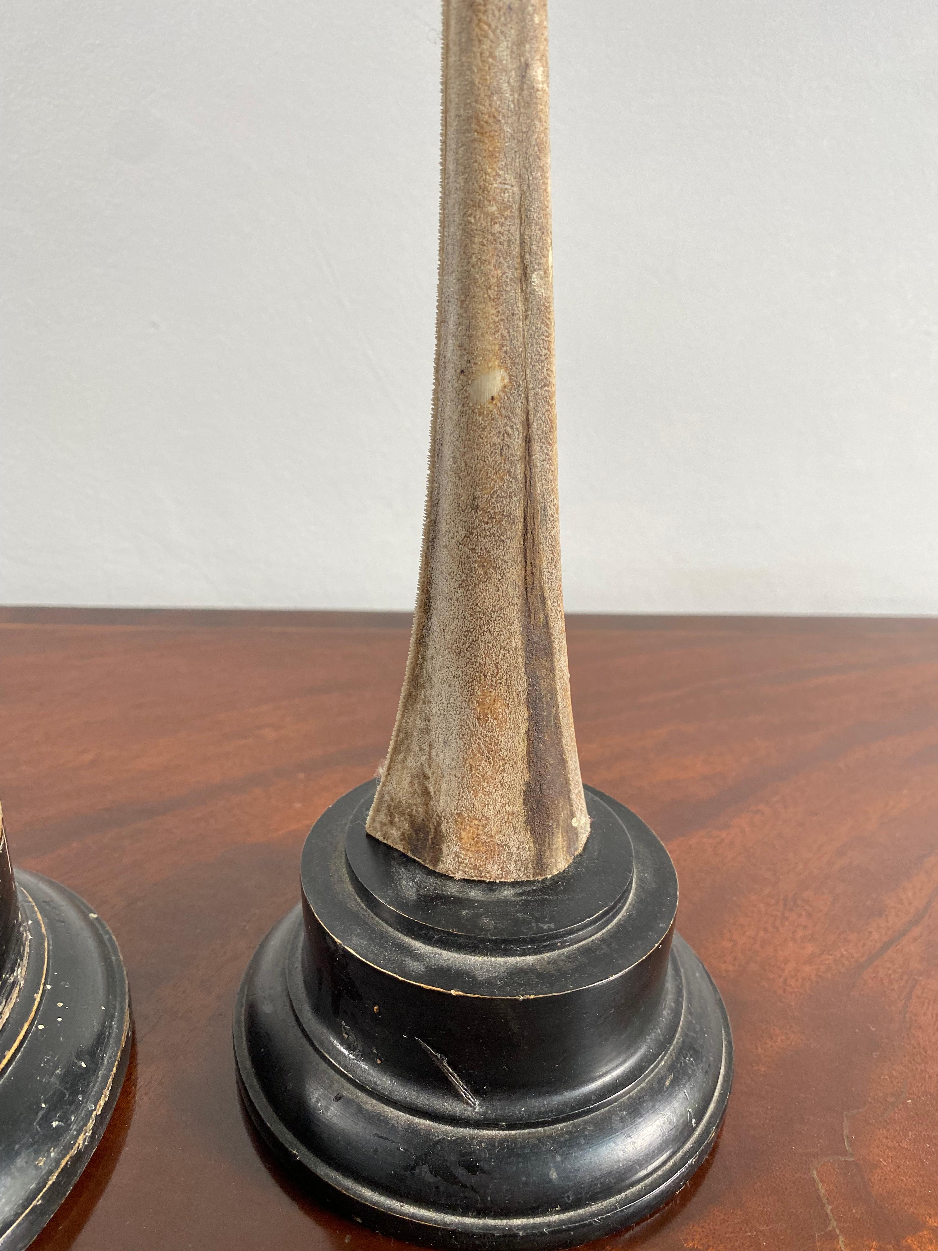 Pair of Early Trophy Marlin Bills For Sale at 1stDibs | marlin bill for ...