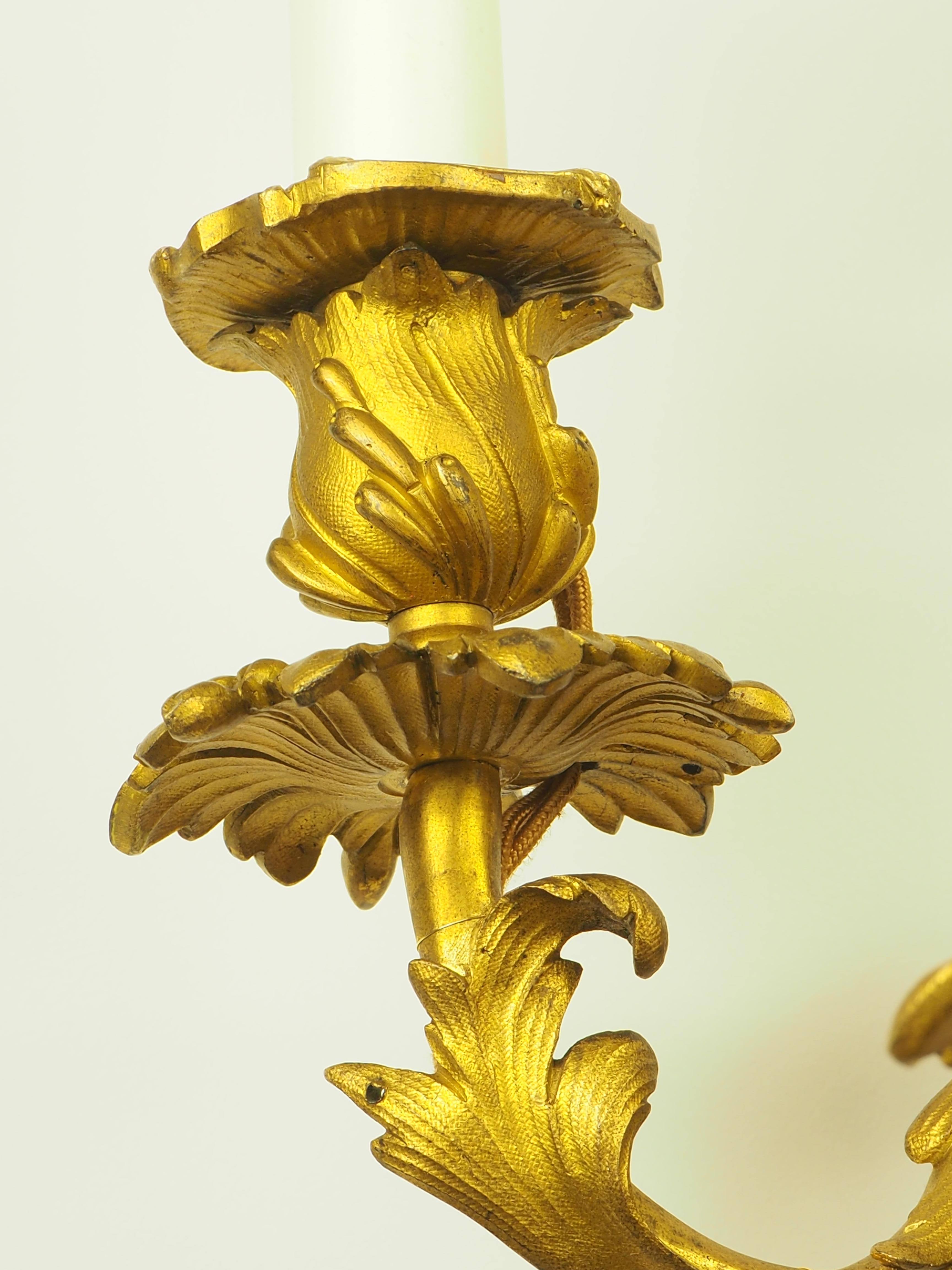 A Pair of French Ormolu Rococo 5 Arm Gilt Bronze Wall Lights, Circa ...