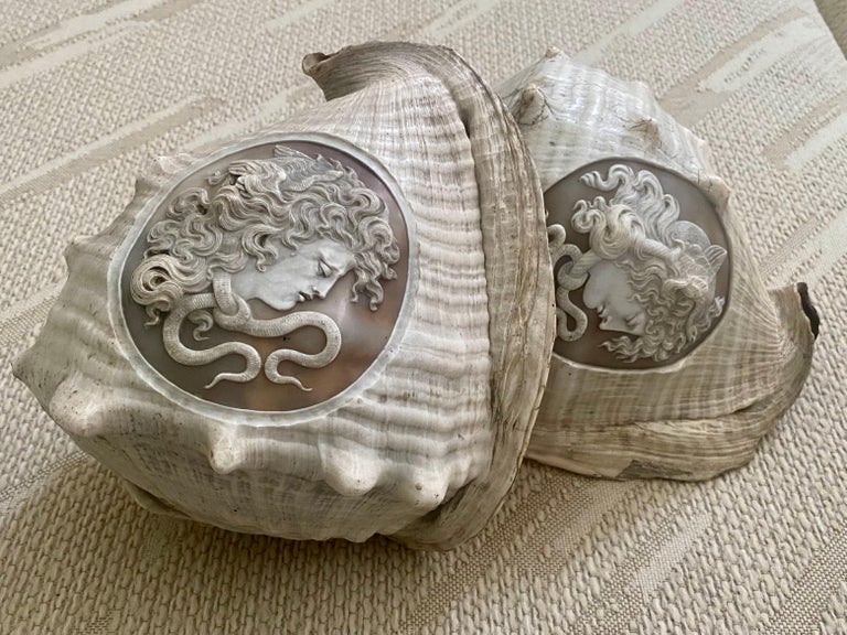 Pair of Italian Cameo 19th Century Carved Conch Shells For Sale at 1stDibs