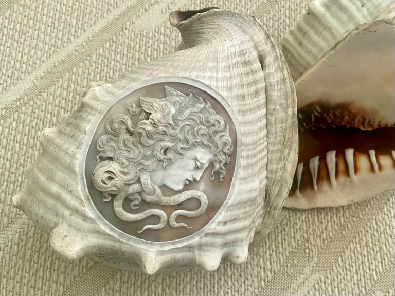 Pair of Italian Cameo 19th Century Carved Conch Shells For Sale at 1stDibs