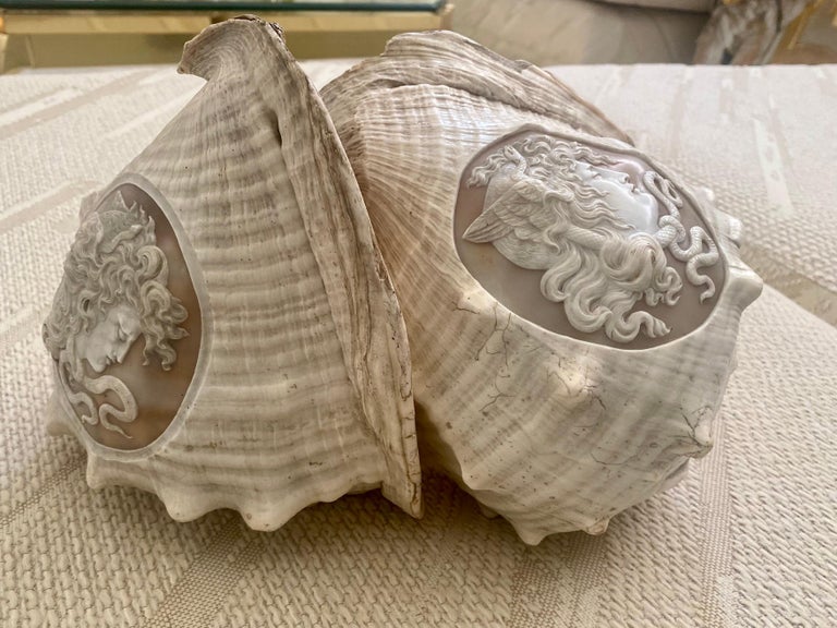 Pair of Italian Cameo 19th Century Carved Conch Shells For Sale at 1stDibs