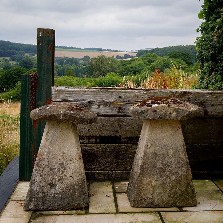 A Pair of Large 19th Century Staddle Stones For Sale at 1stDibs