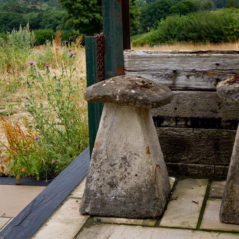 A Pair of Large 19th Century Staddle Stones For Sale at 1stDibs