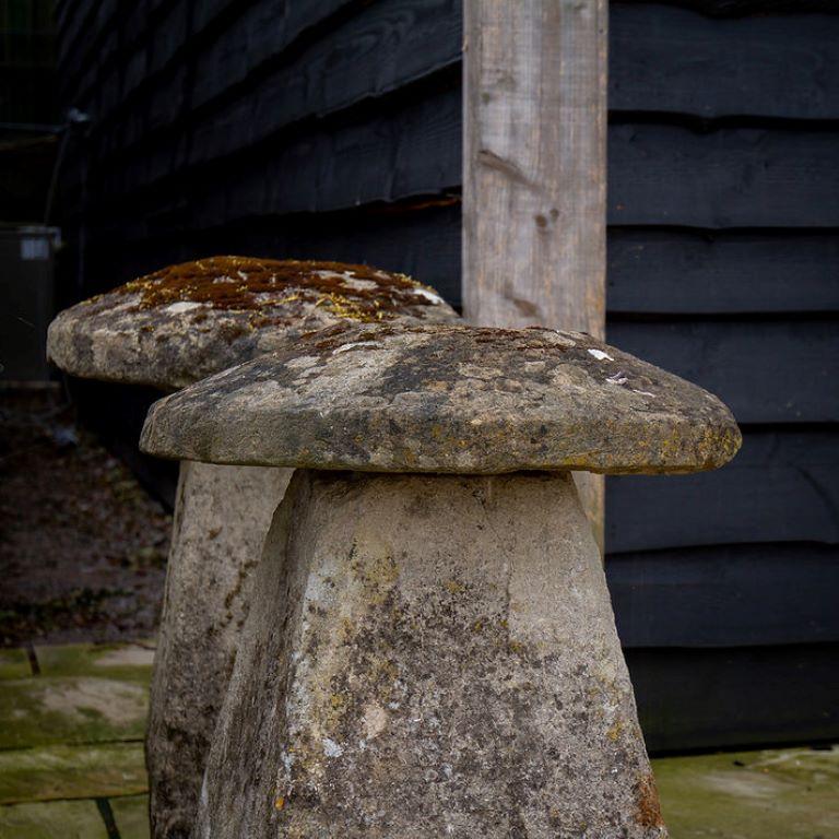 A Pair of Large 19th Century Staddle Stones For Sale at 1stDibs
