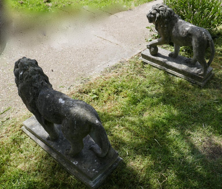 Pair of Large Stone Garden Entrance Guardian Lions at 1stDibs