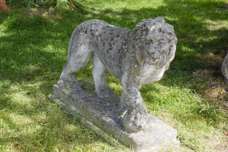 Pair of Large Stone Garden Entrance Guardian Lions at 1stDibs | stone ...