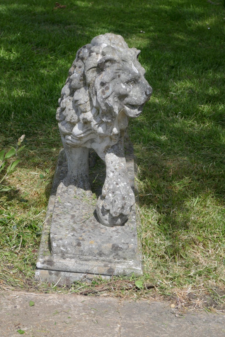 Pair of Large Stone Garden Entrance Guardian Lions at 1stDibs | stone ...