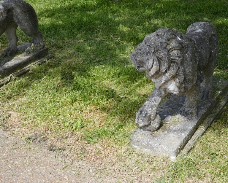 Pair of Large Stone Garden Entrance Guardian Lions at 1stDibs | stone ...