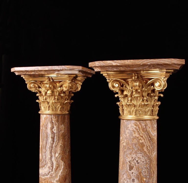 Pair of Louis XVI Style Gilt-Bronze Mounted Pedestals For Sale at 1stDibs